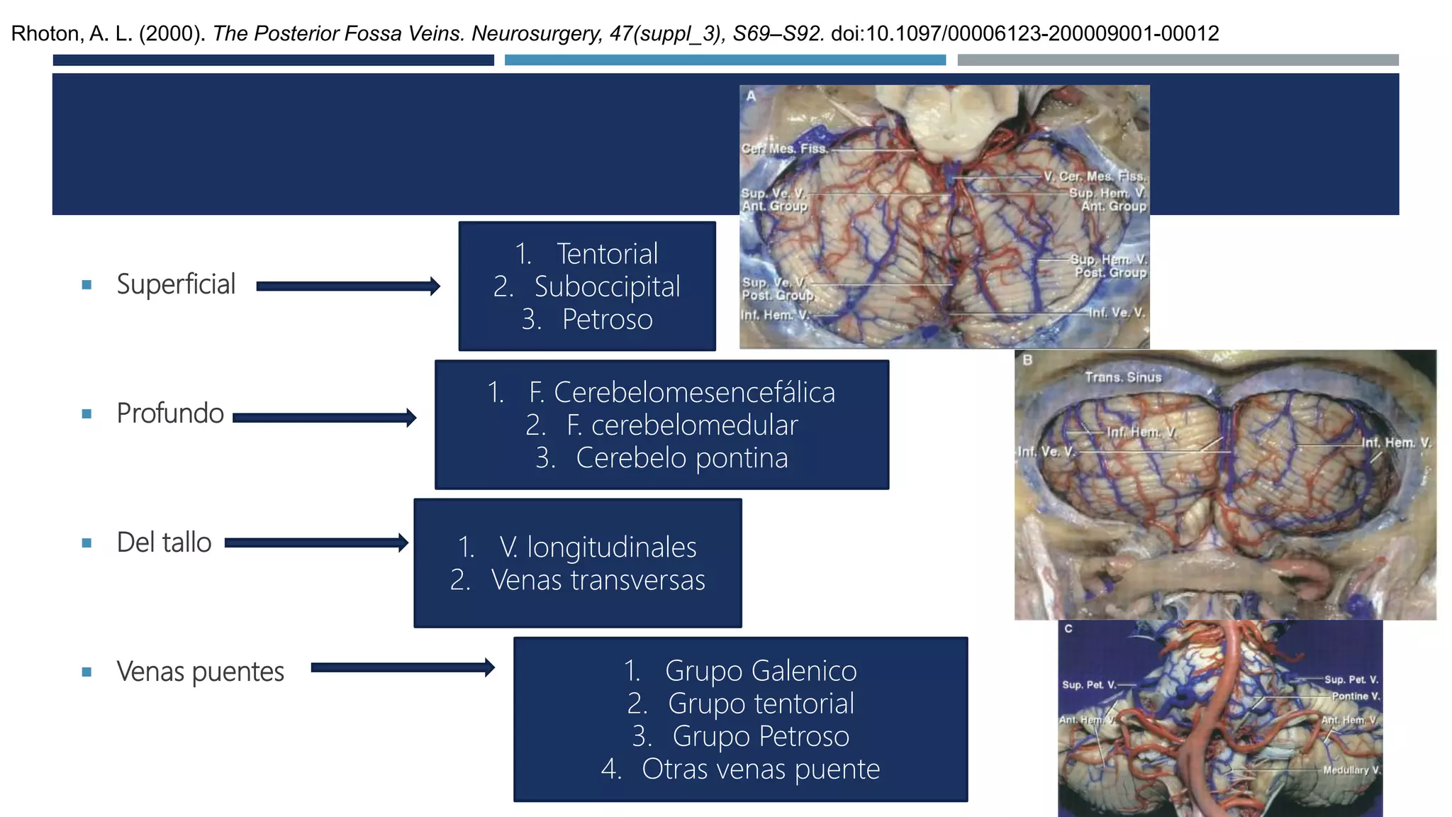 Venas de la fosa posterior | PPT