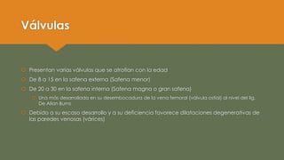 Anatomía sistémica - Venas del miembro inferior | PPTX