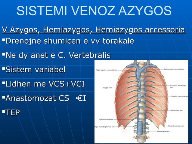 Venat (Sistemi venoz) (Fakulteti i Mjekësisë Tiranë).ppt
