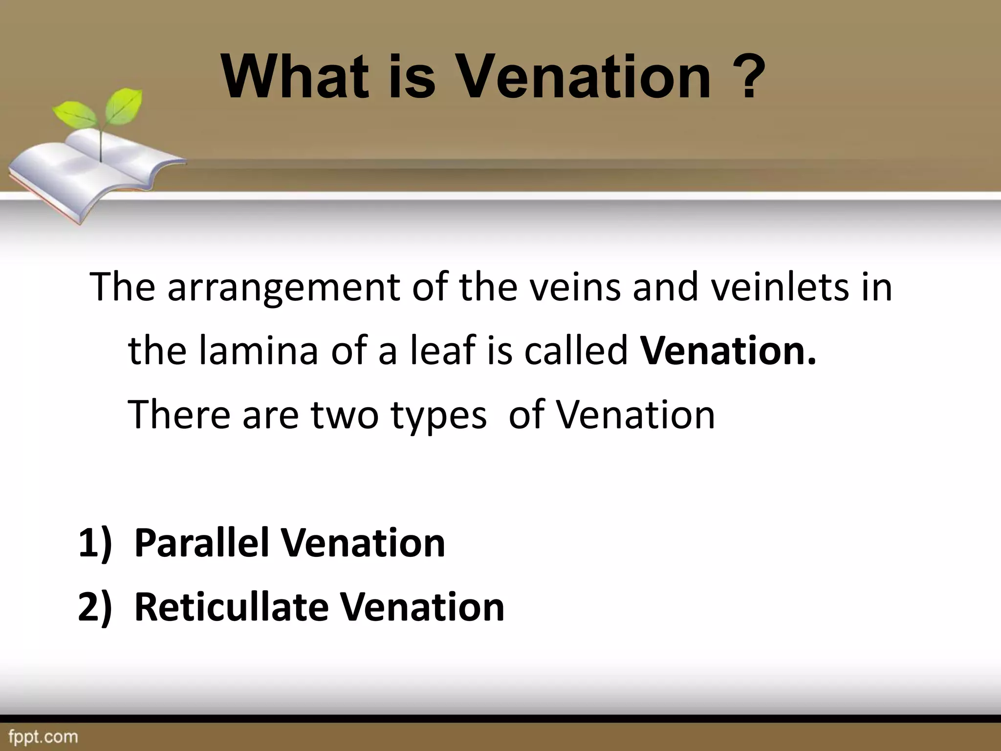 Venation and its types | PDF