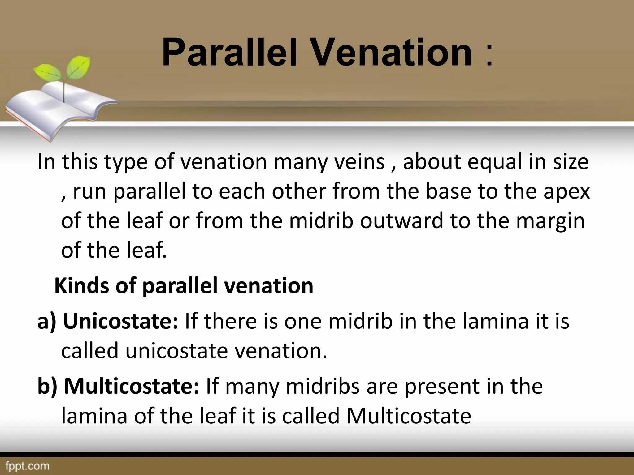 Venation and its types | PDF