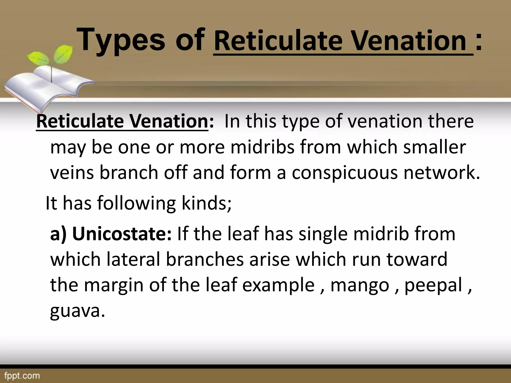 Venation and its types | PDF