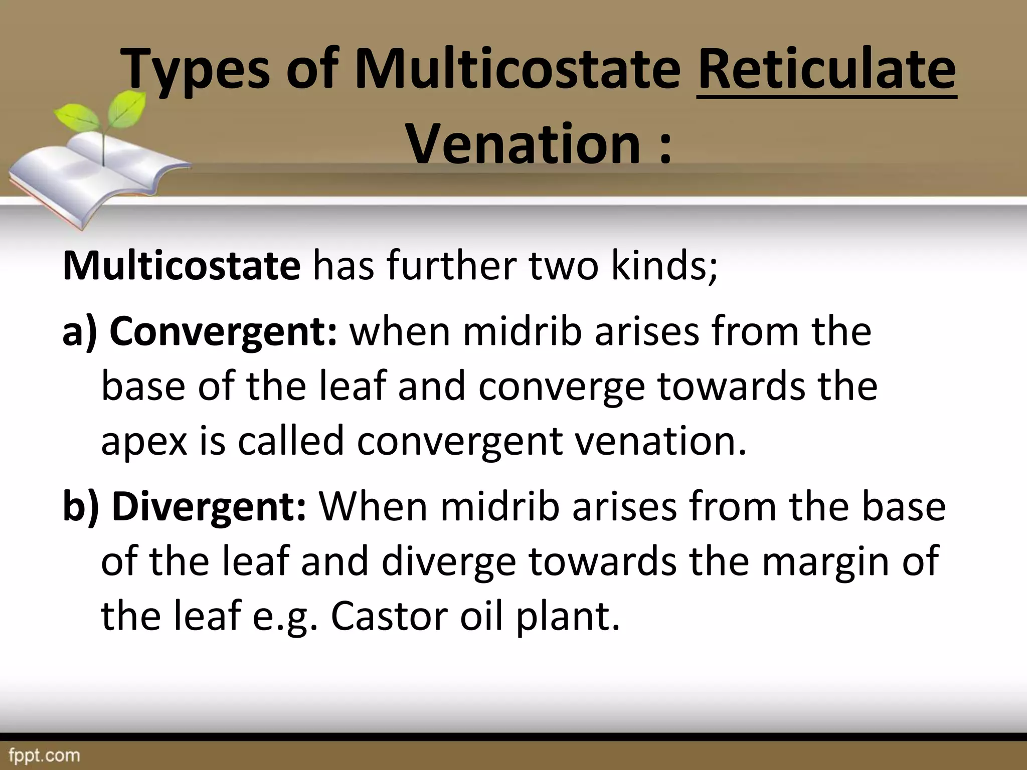 Venation and its types | PDF