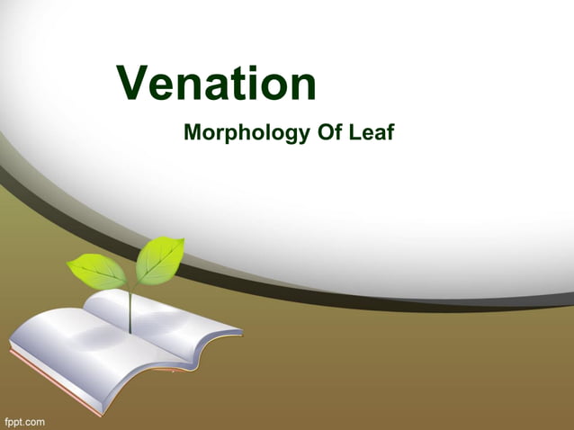 Venation and its types | PDF