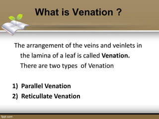 Venation and its types | PDF