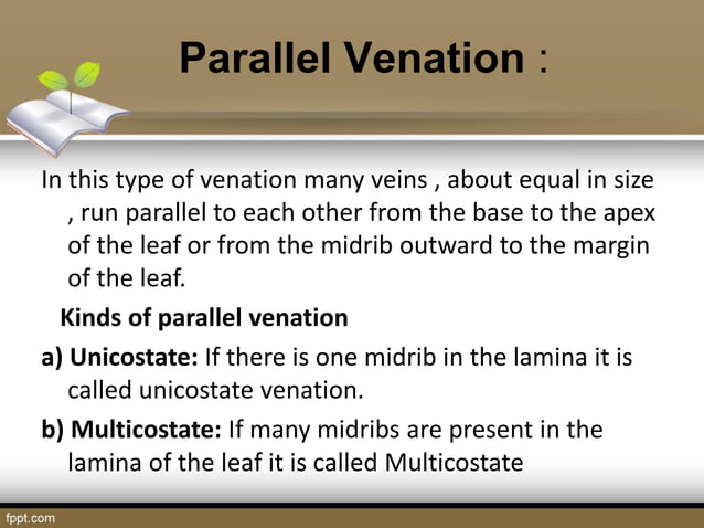 Venation and its types | PDF