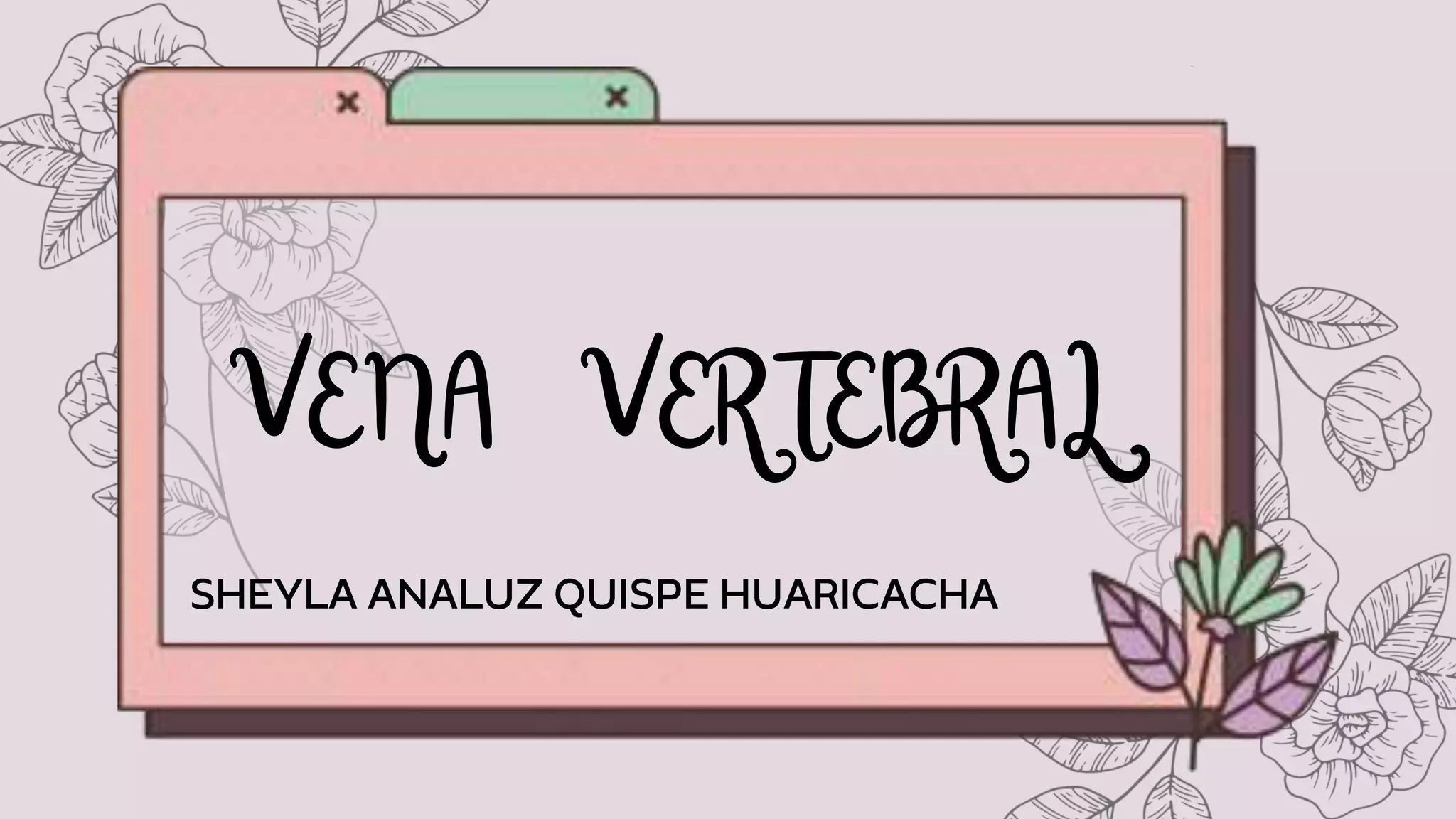 vena vertebral.pptx