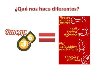 Vendiendo al estilo canis | PPTX