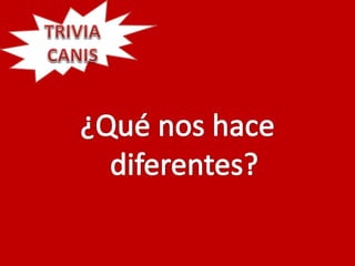 Vendiendo al estilo canis | PPTX