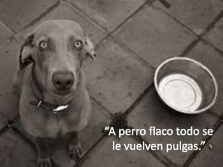 Vendiendo al estilo canis | PPTX