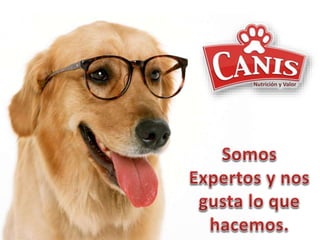 Vendiendo al estilo canis | PPTX