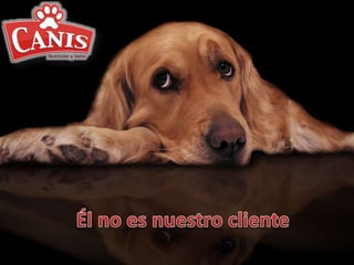 Vendiendo al estilo canis | PPTX