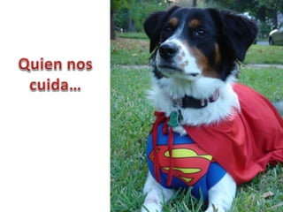 Vendiendo al estilo canis | PPTX