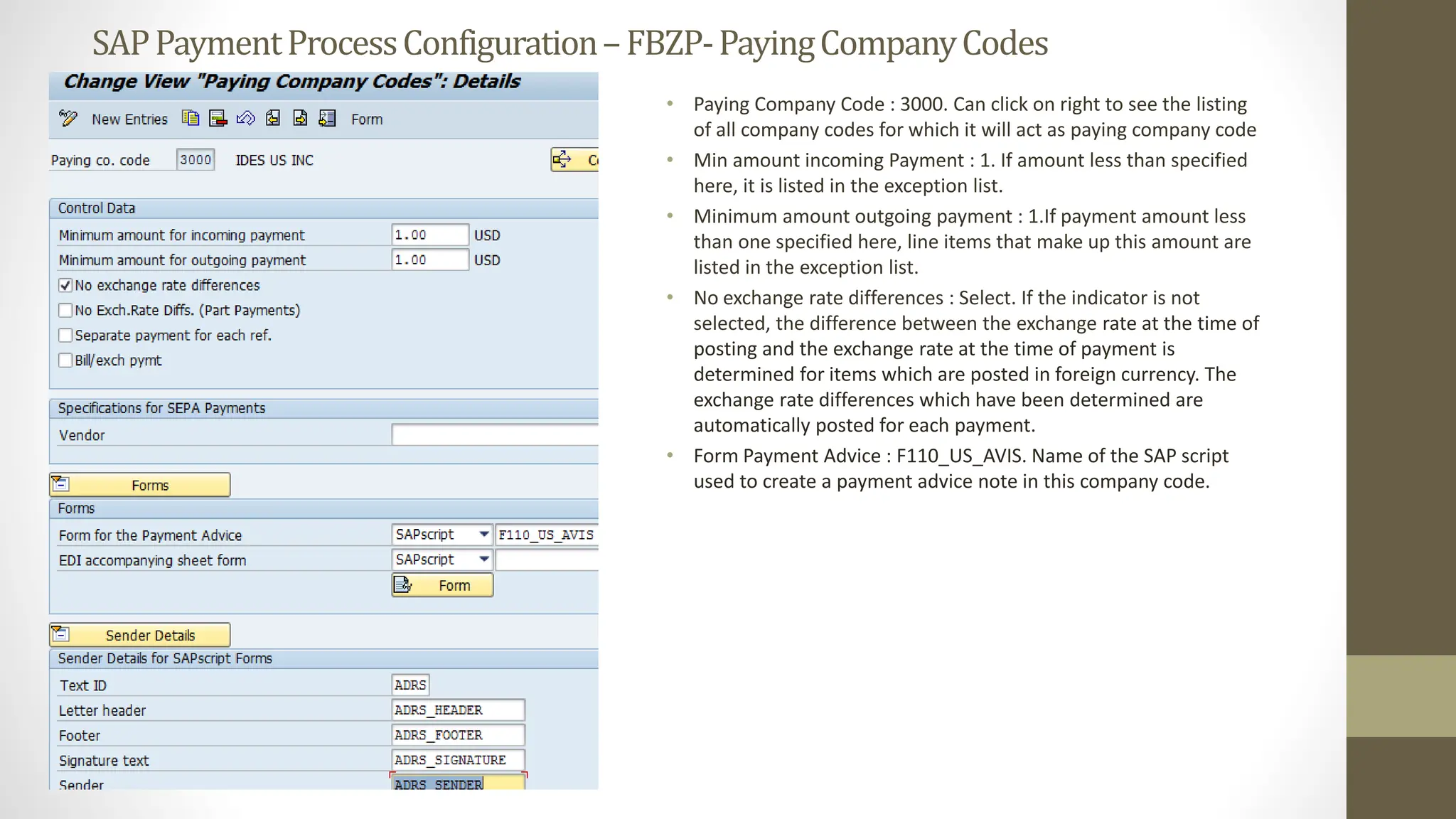 vendor-payment-configuration-in-sap.pptx