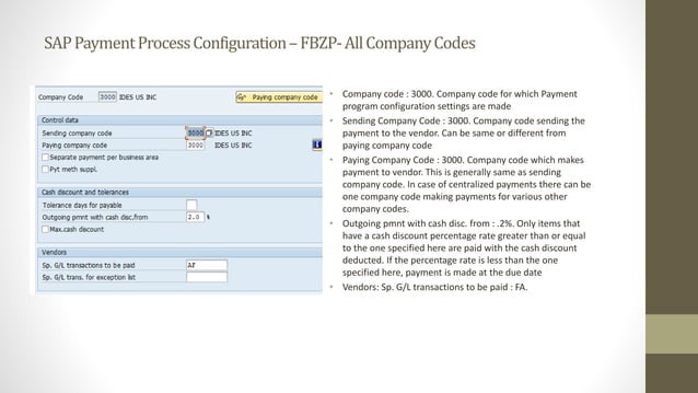 vendor-payment-configuration-in-sap.pptx