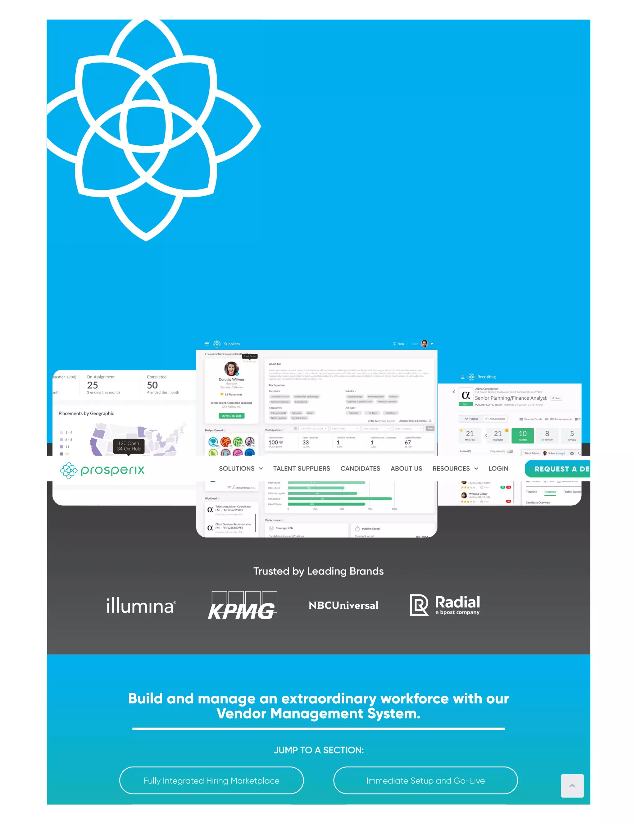 Vendor Management System.pdf