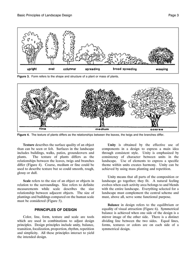 Vendrame_Basic Principles of Landscape Design.pdf