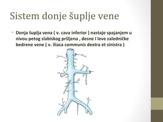 Vene | PPT