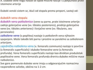 Vene | PPT
