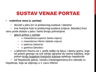 Vene | PPT
