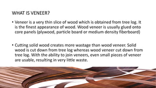 Veneer | PDF