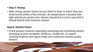 Veneer | PDF