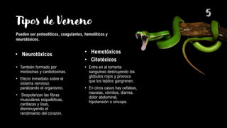 Veneno de las Serpientes | PDF