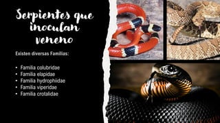 Veneno de las Serpientes | PDF