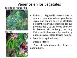 Venenos armas químicas de la naturaleza | PPTX