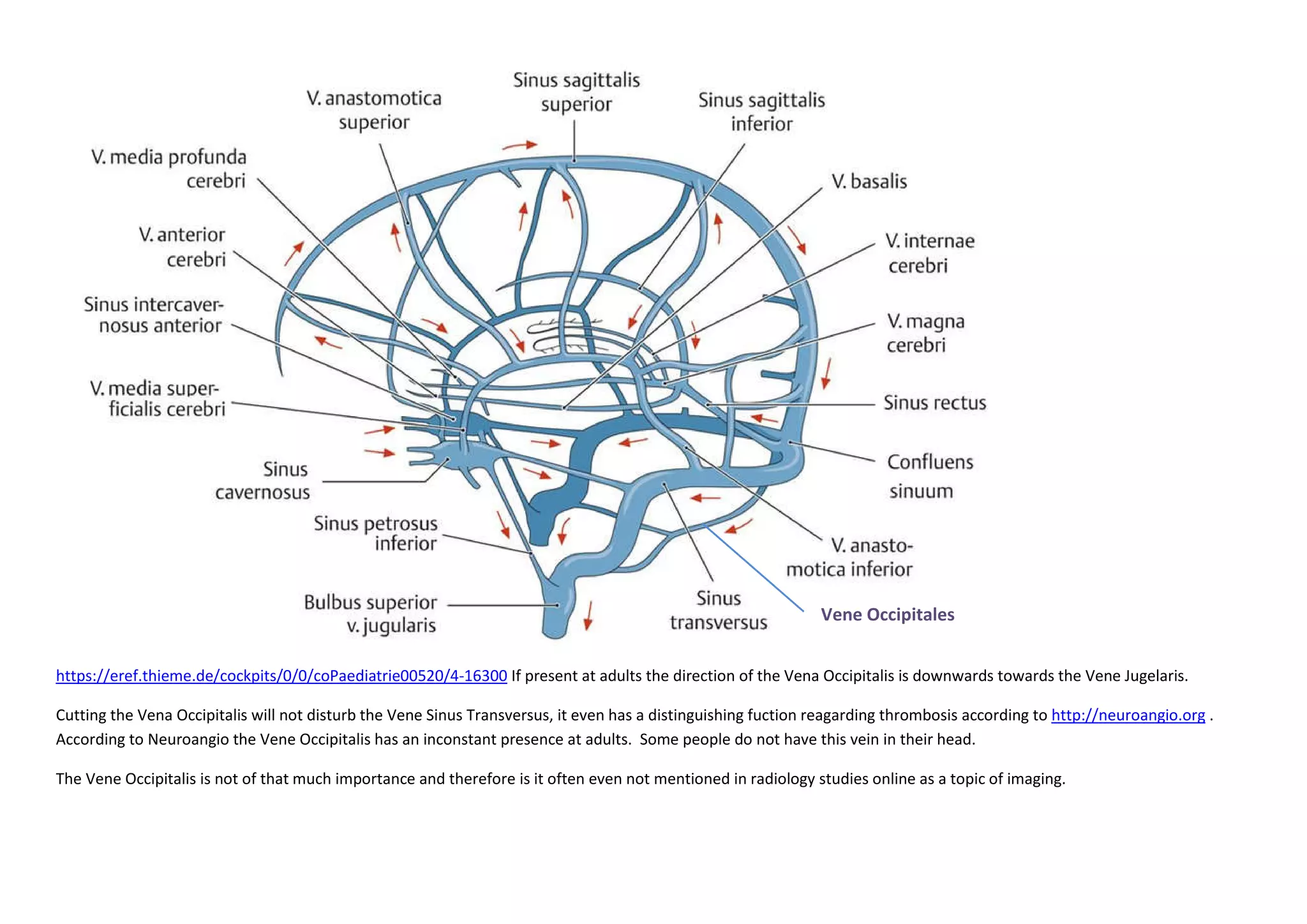 Vene Occipitalis is naturally missing sometimes at people | PDF