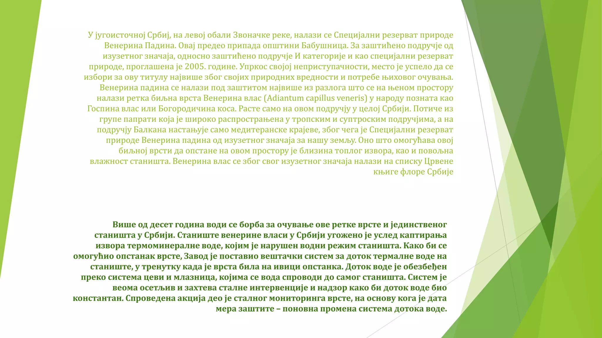 Венерина влас - Кристина Миливојевић | PPTX