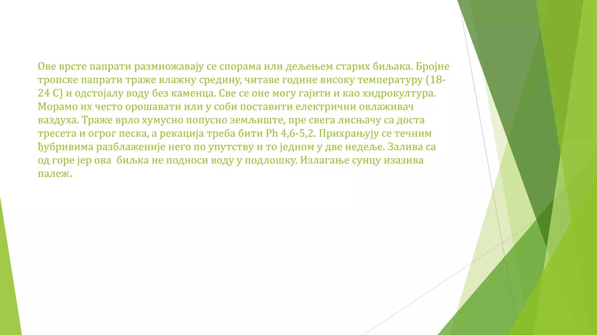 Венерина влас - Кристина Миливојевић | PPTX