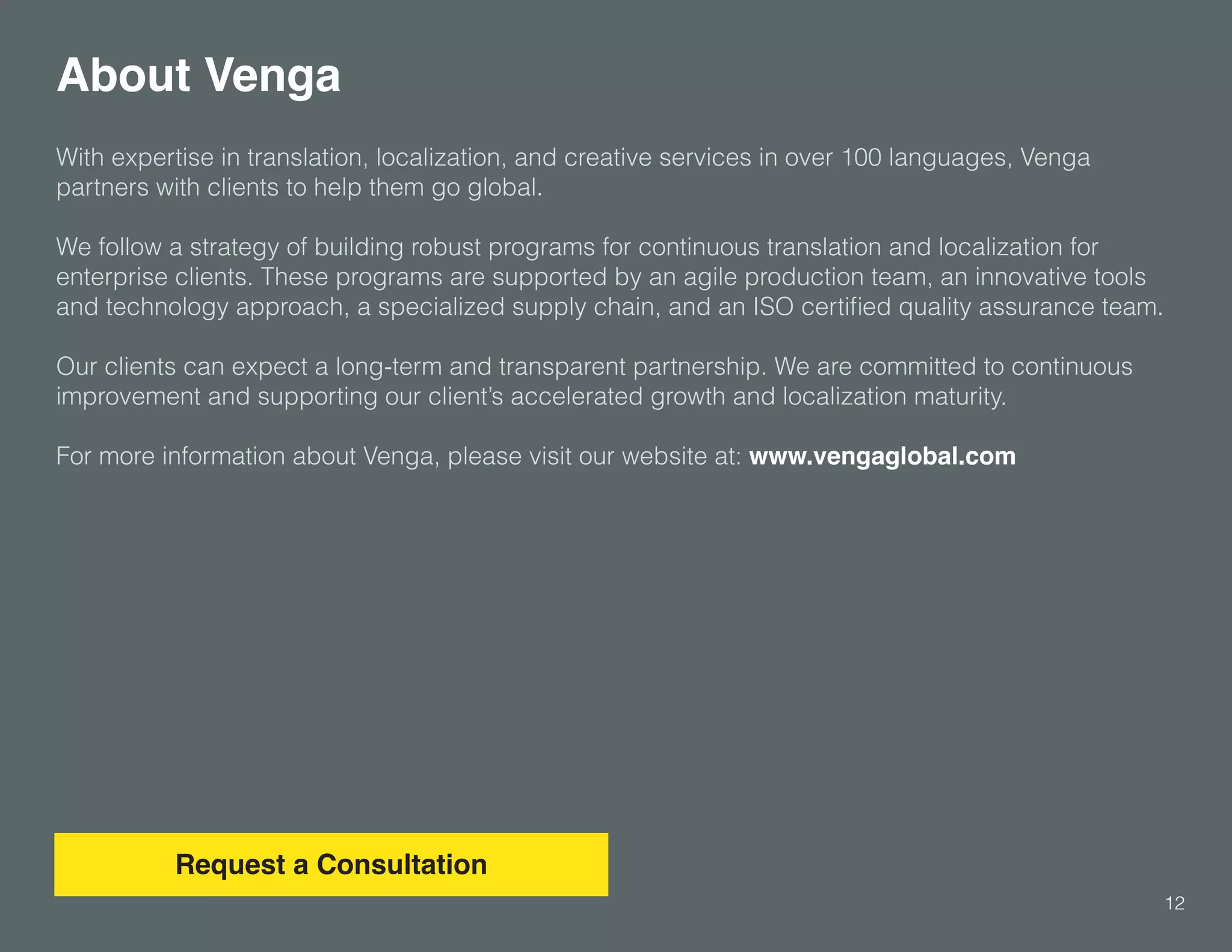 Website Translation Case Study | PDF