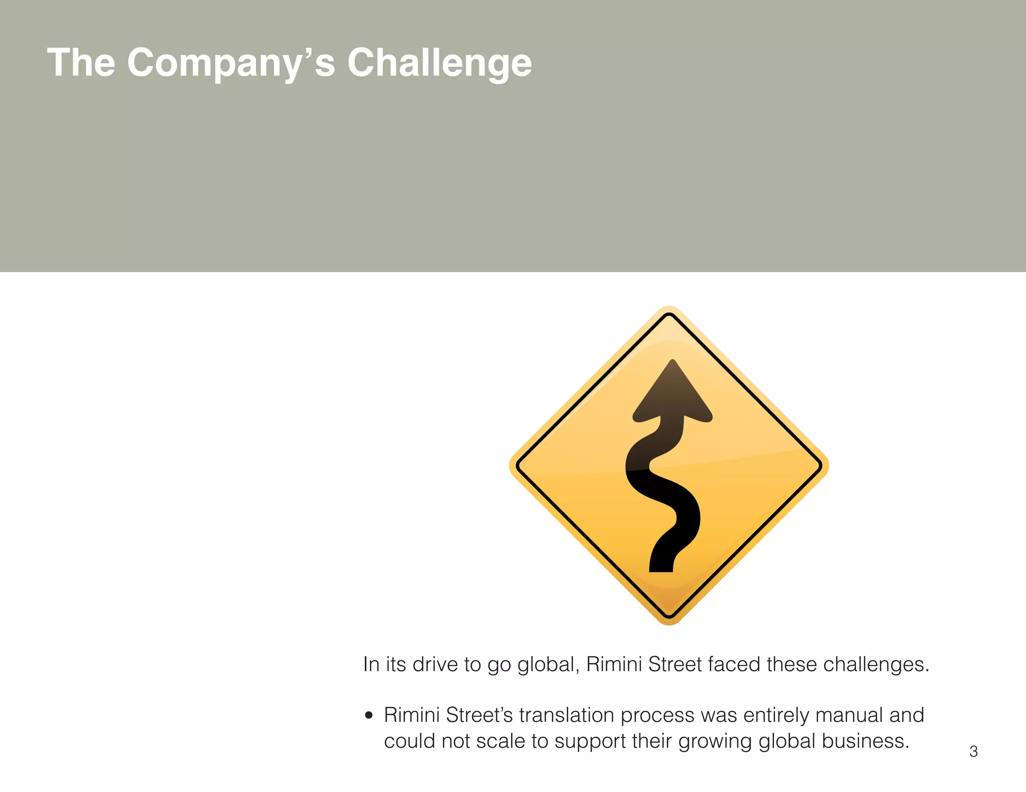 Website Translation Case Study | PDF