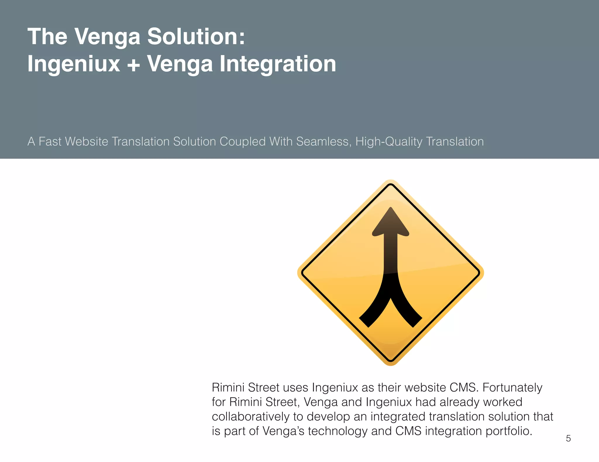 Website Translation Case Study | PDF