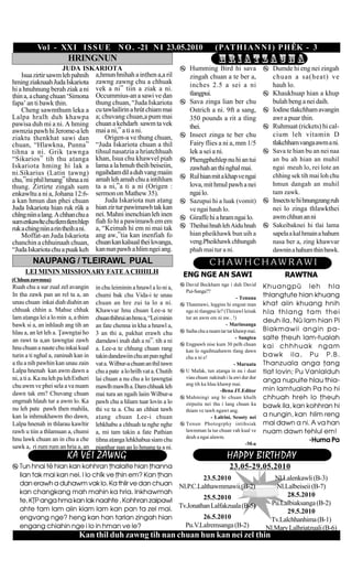 V E N G L A I 23.5.2010