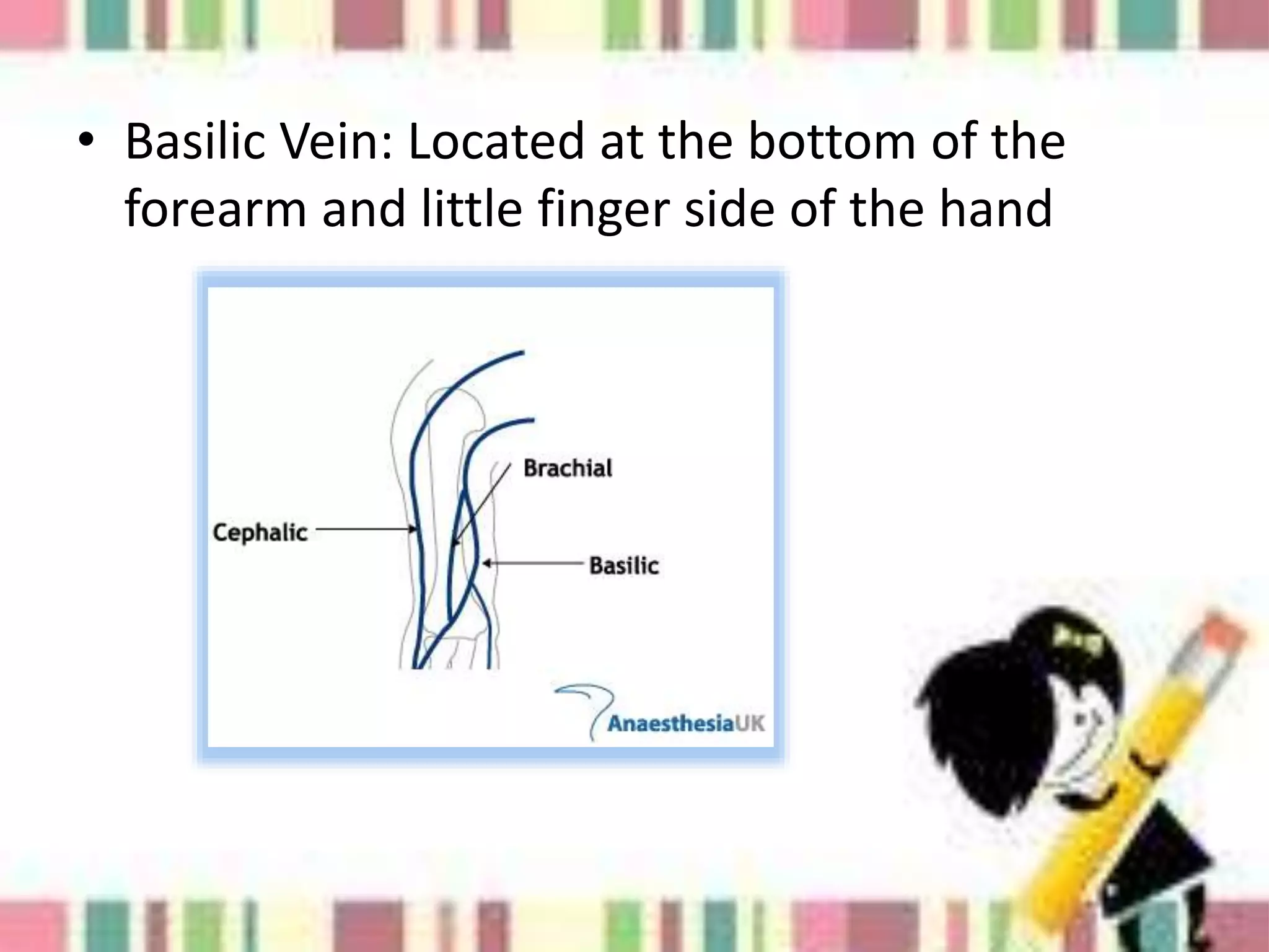 Venipuncture | PPTX
