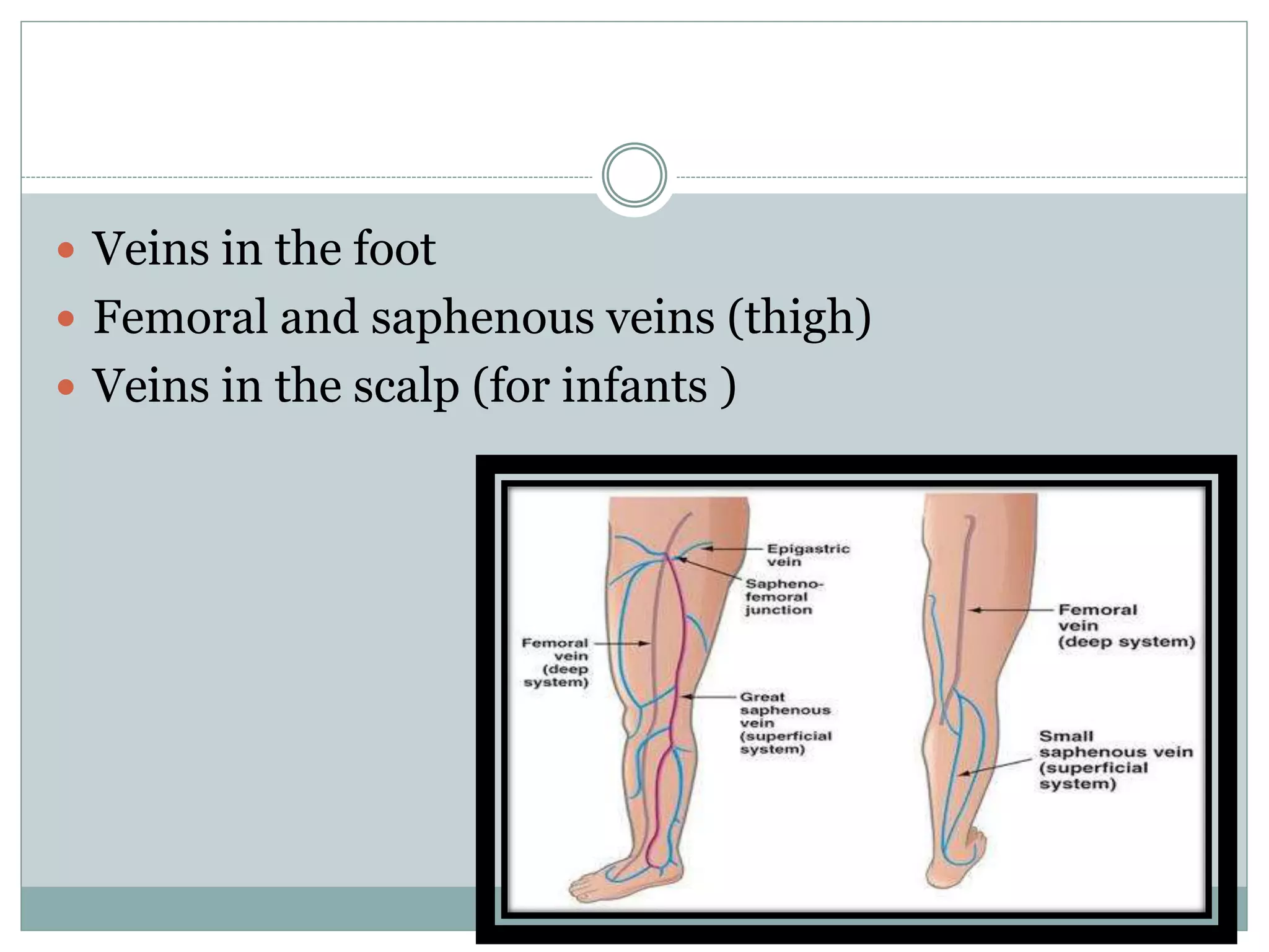 Venipuncture ppt | PPTX