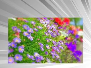 venirea primaverii | PPT