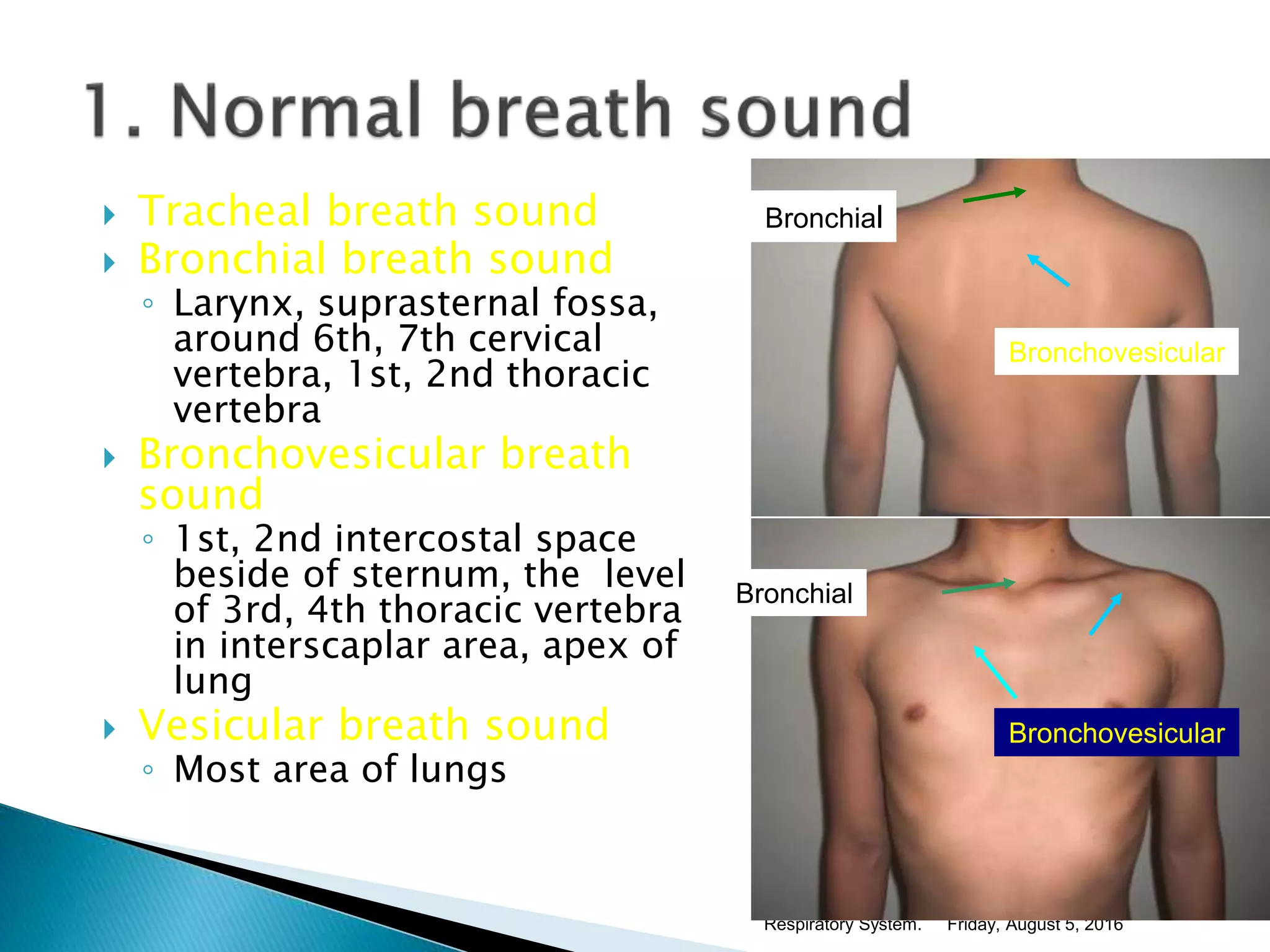 physical examination in RESPIRATORY SYSTEM | PPTX