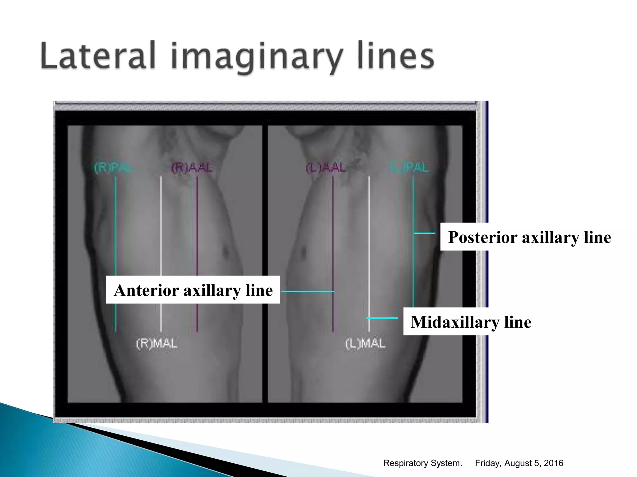 physical examination in RESPIRATORY SYSTEM | PPTX