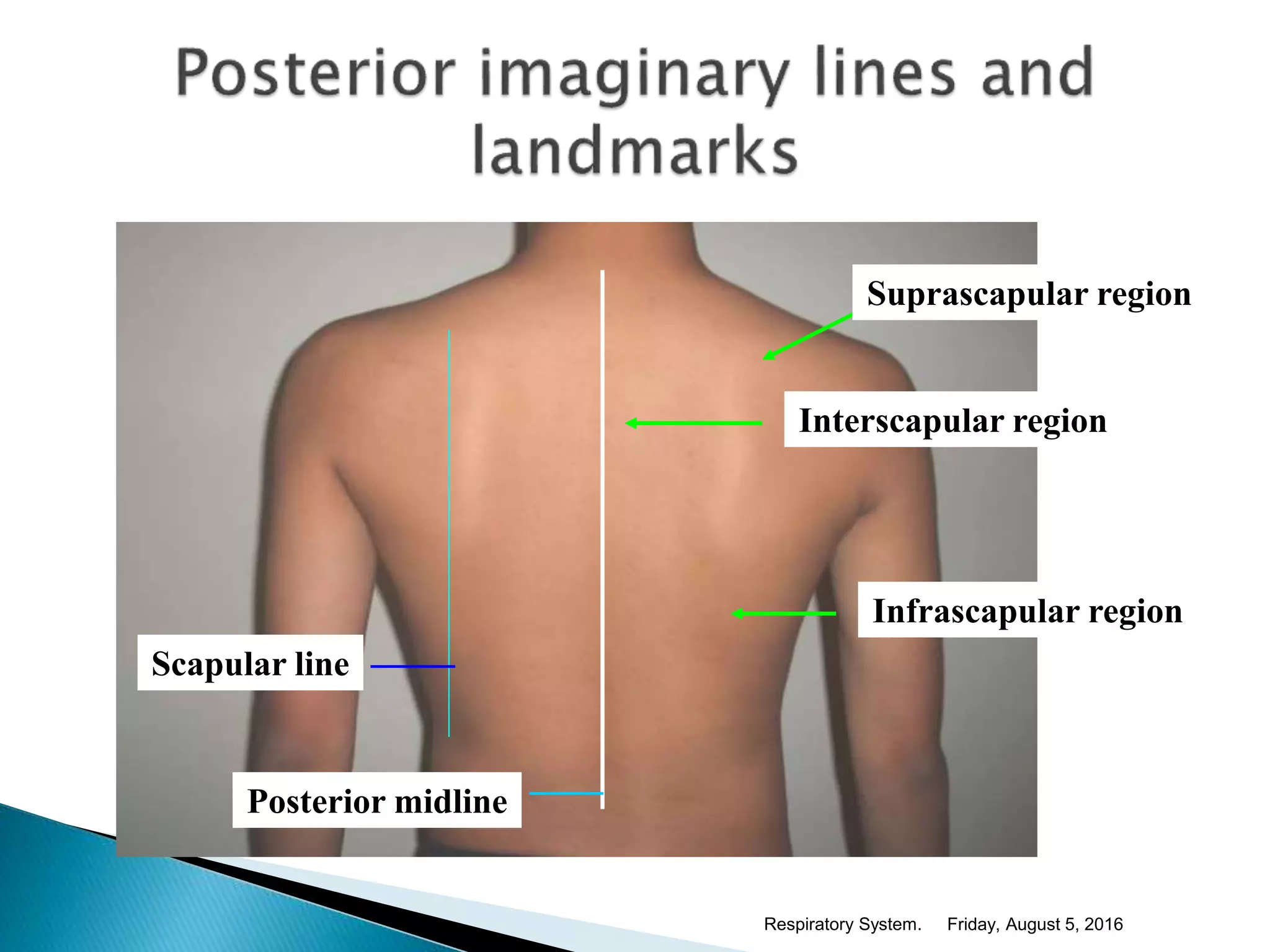 physical examination in RESPIRATORY SYSTEM | PPTX