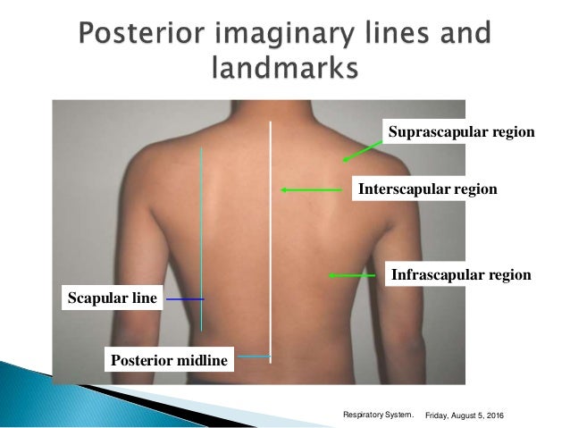 physical examination in RESPIRATORY SYSTEM