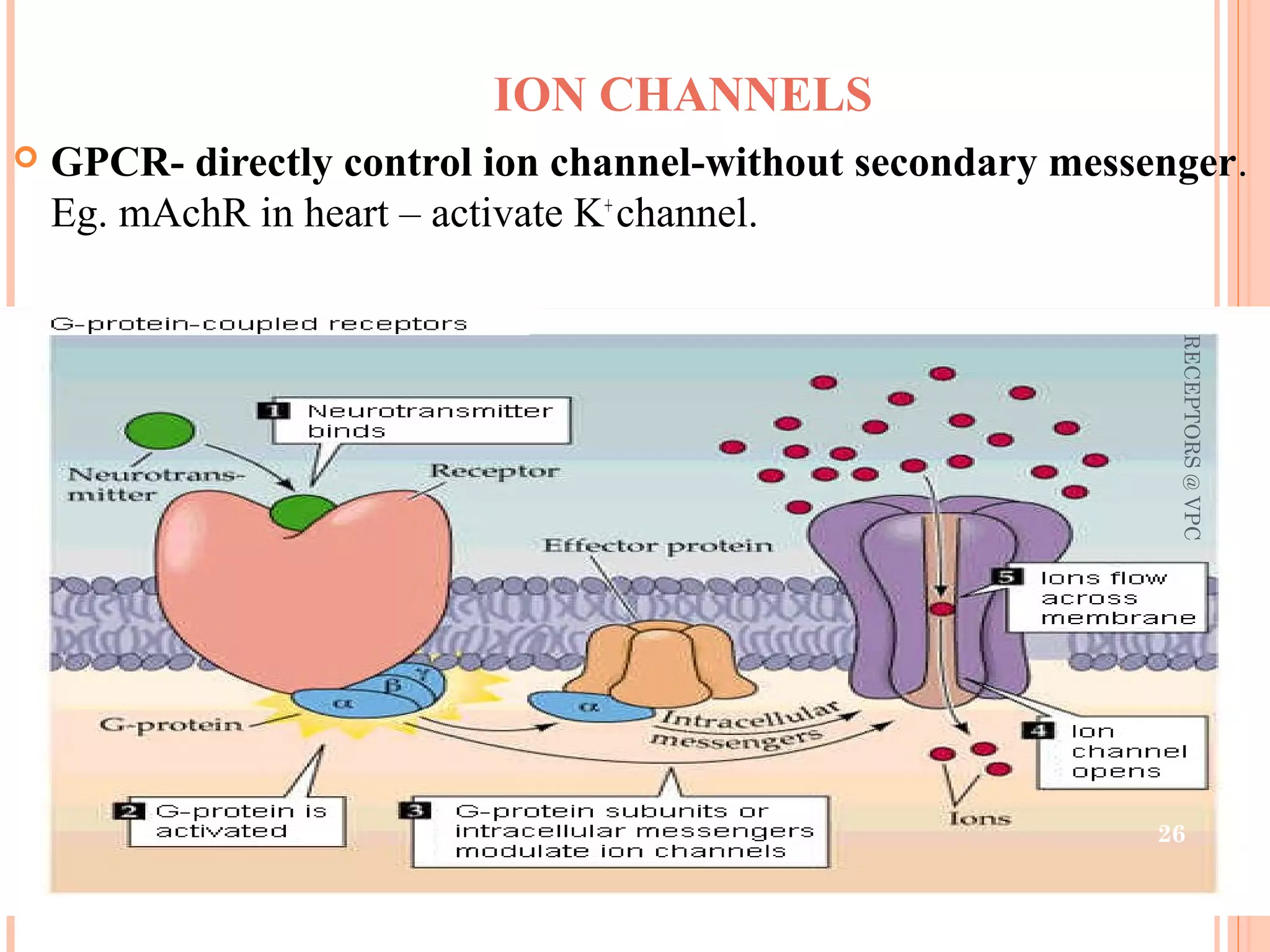 Receptors | PPT
