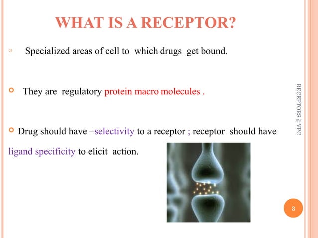 Receptors | PPT