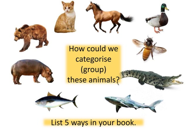 Venn-Diagrams-Complete-Lesson.pptx