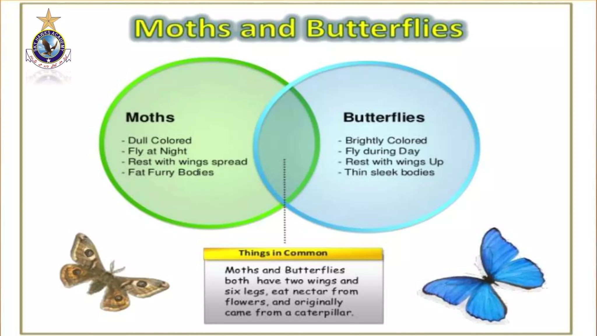 SET THEORY- INTRODUCTION OF VENN DIAGRAM | PPTX
