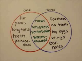 Venn diagram examples | PPT
