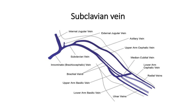 Venography | PPTX | Heart and Cardiovascular Diseases | Diseases and ...