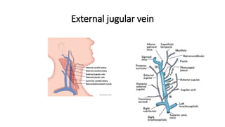 Venography | PPTX